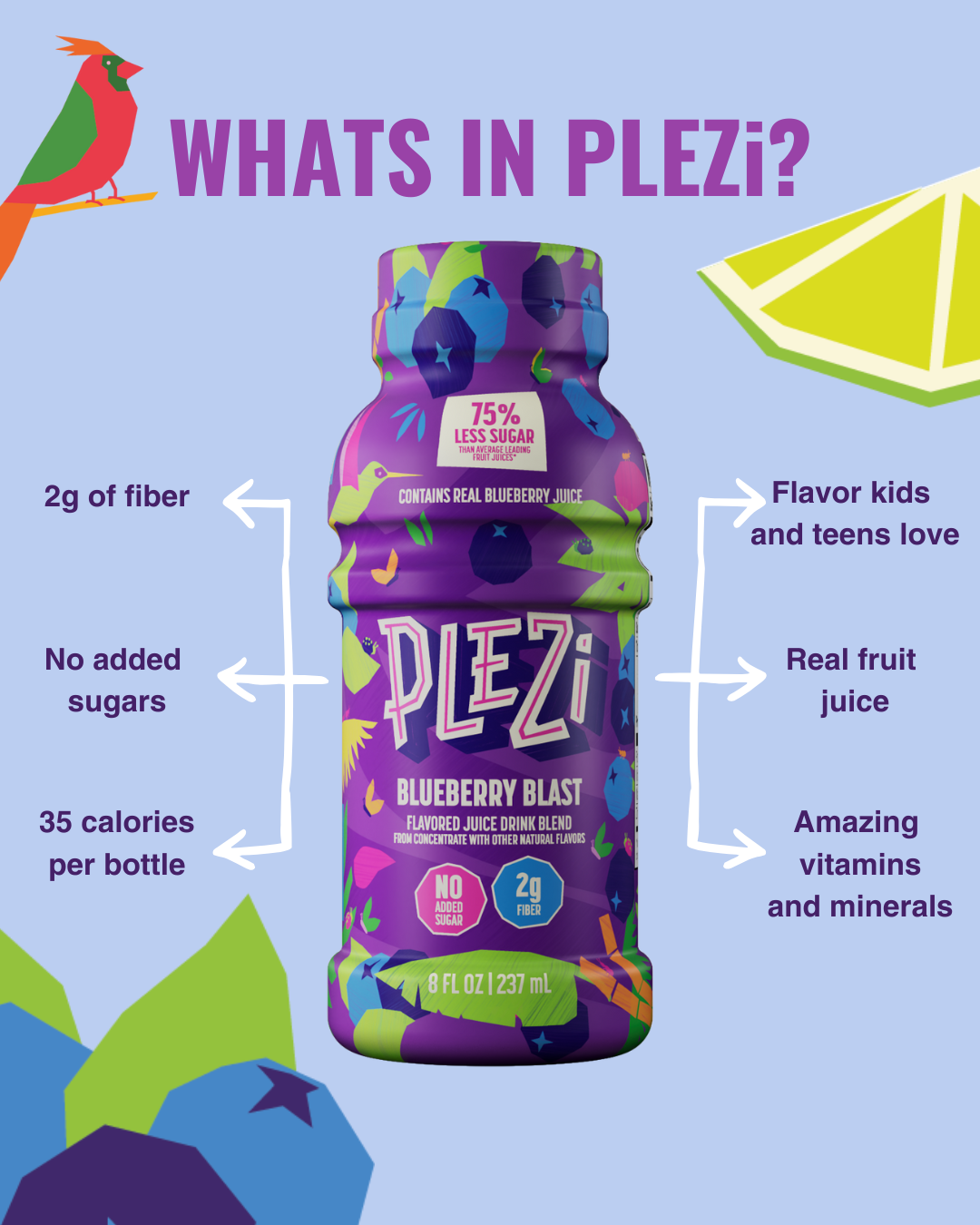 Ava Smith's Portfolio